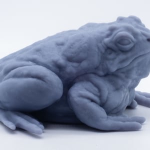 The Waiting Toad - Miniature - DND - Tabletop - Etsy UK