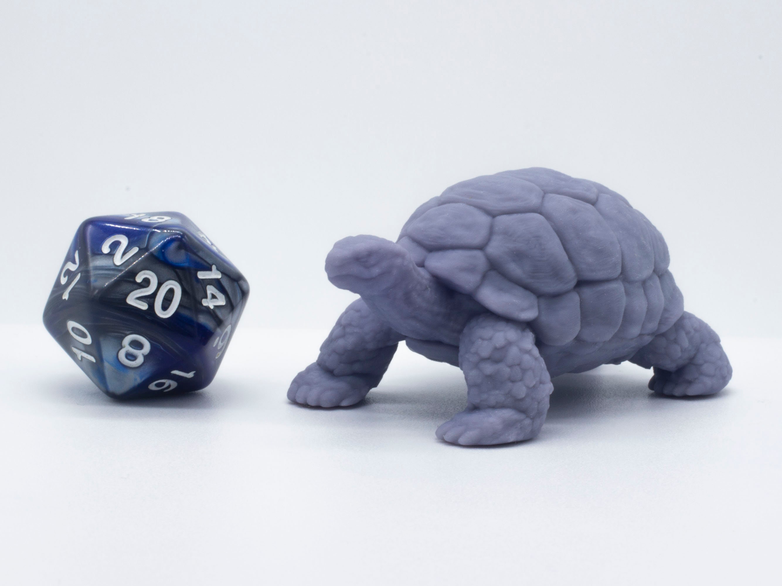 Terry the Terrestrial Tortoise Miniature Tabletop | Etsy