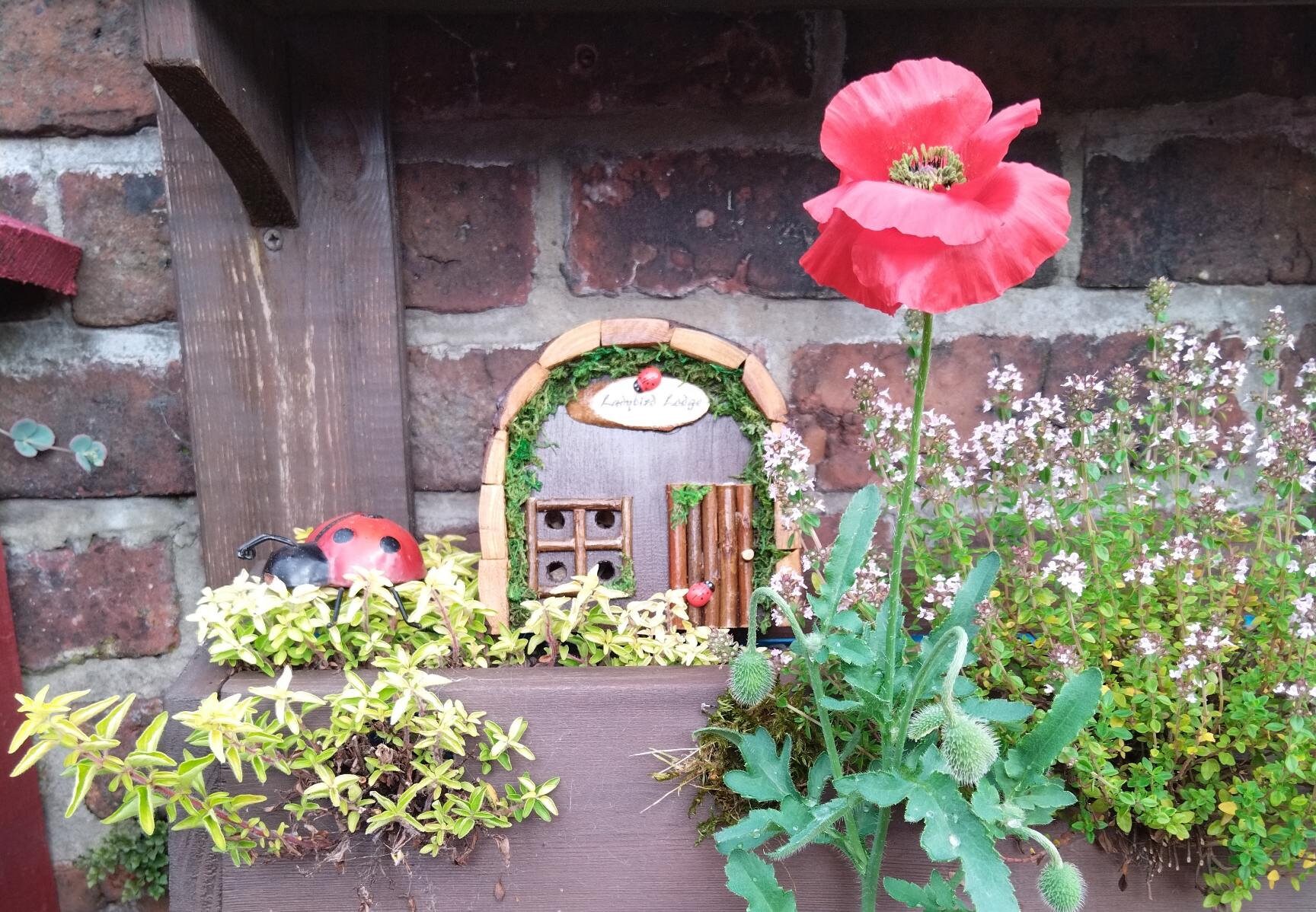 Ladybird Lodge Wooden Rustic Homemade Ladybird Bug House Hotel Perfect ...