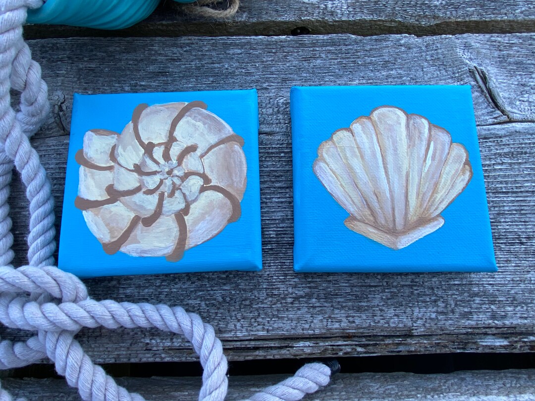 Shells of the Sea - Etsy