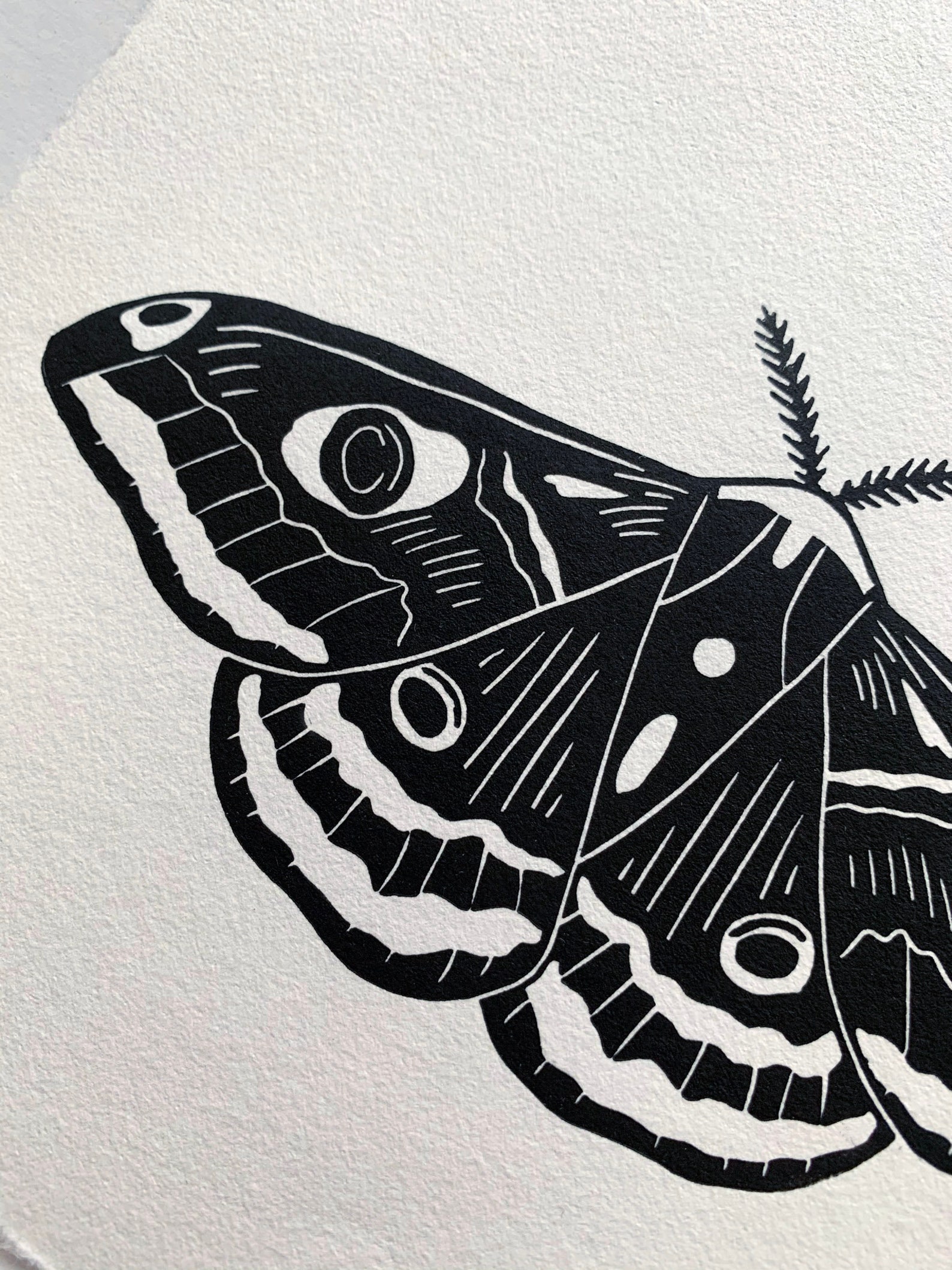 Emporer Moth Handmade Linocut Print - Etsy Sweden