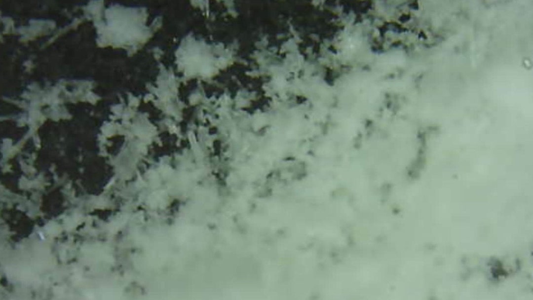 NEW BUCKMOON ORMUS Special Add Fine Crystal Powder Lucid Monatomic Gold ...