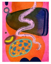 Canadian Wildlife Alphabet Chart - Etsy Canada