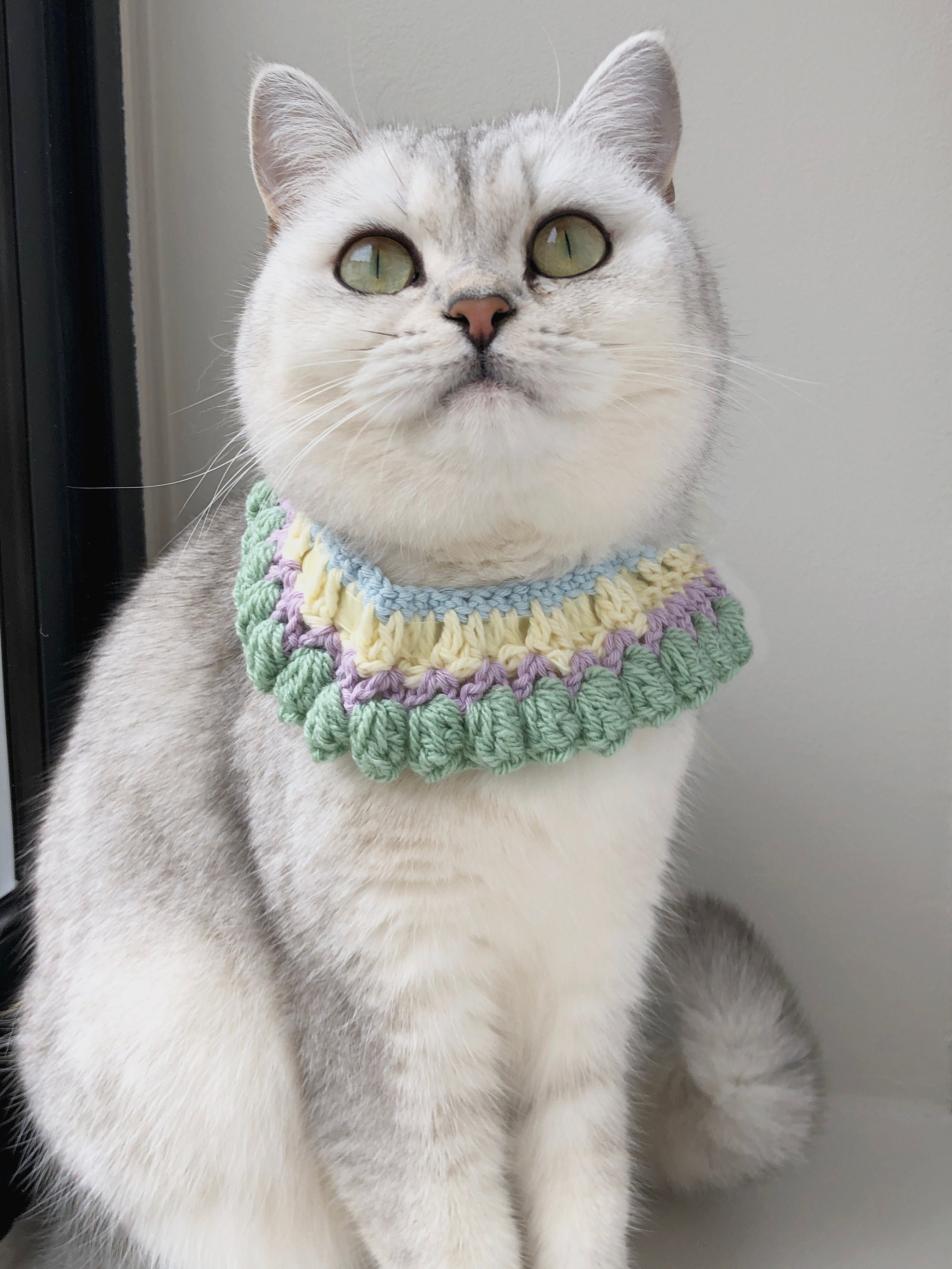 Handmade Spring Flowers Cat Collar With RibbonCat collarCat | Etsy