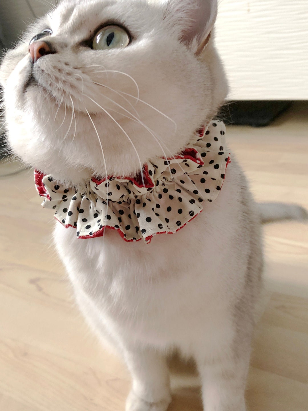 Lime Green/red Polka Dot Cat Scrunch Collar, Handmade Adjustable Two ...