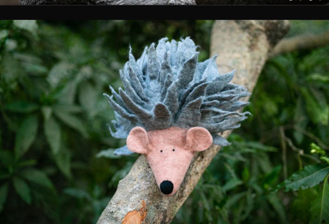 Handmade FELT HATS Funky. Hedgehog Hippy Boho Festival Fancy Dress Hat ...