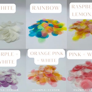 Biodegradable Wedding Confetti Kit Translucent Envelopes With Embossed ...