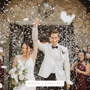 Biodegradable Wedding Confetti Kit Translucent Envelopes With Embossed ...