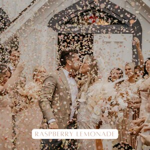 Biodegradable Wedding Confetti Kit Translucent Envelopes With Embossed ...
