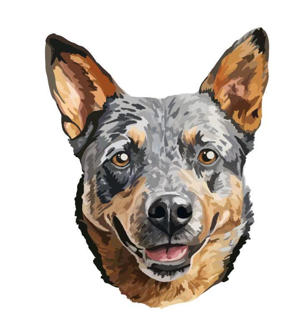Blue Heeler Sticker - Etsy