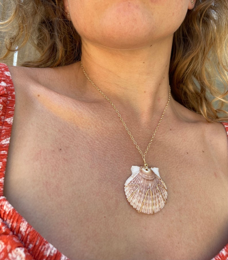 Scallop Shell Necklace - Etsy