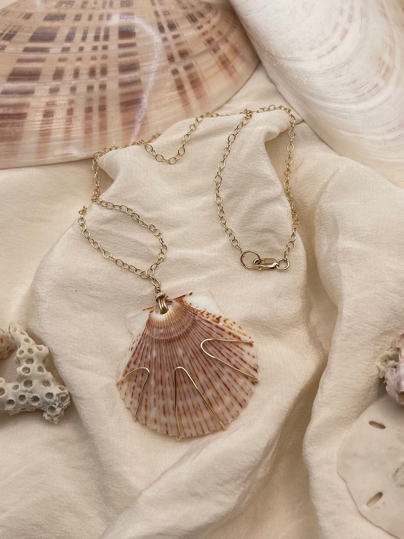 Scallop Shell Necklace - Etsy