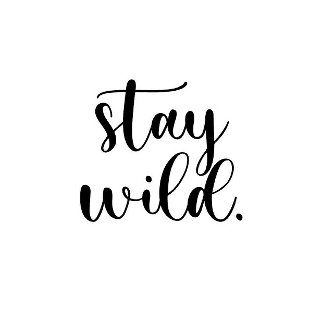 Stay Wild Decal, Outdoors Decal, Tree Camping Bumper Sticker, PNW ...