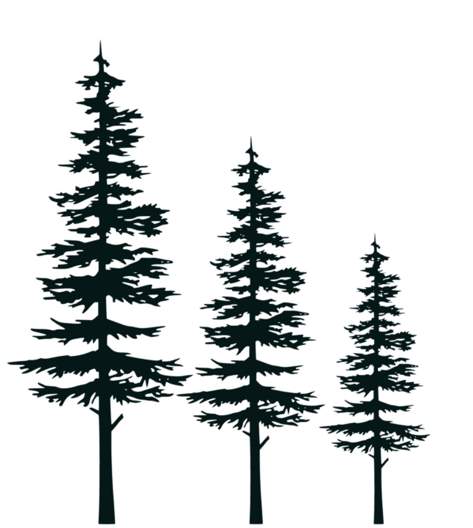 Sitka Tree Decal/bumper Sticker PNW Decal Tree Decal Nature | Etsy