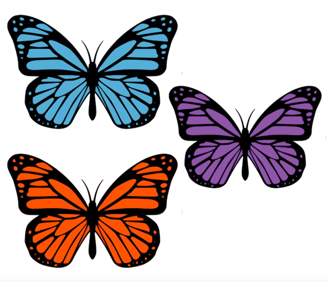 Butterfly Decal/sticker, Two Toned Butterfly Sticker, Butterfly Bumper ...