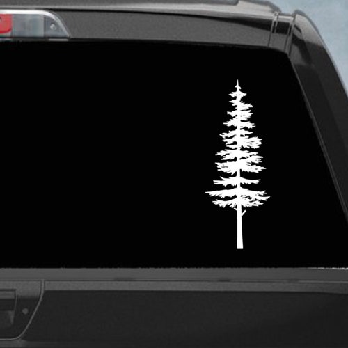 Sitka Tree Decal/bumper Sticker PNW Decal Tree Decal Nature - Etsy