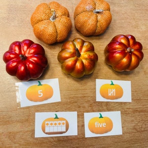 Number Sense Bundle, Ten Frames, Tally Marks, Playdough Counting Mats ...