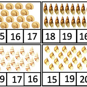 Counting Shells Clip Cards 1-20, Toddler Preschool Kindergarten Math ...