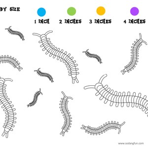 Measuring Bugs Activity Insect Measuring Activity Bugs | Etsy