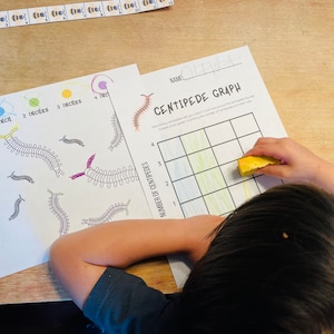 Measuring Bugs Activity, Insect Measuring Activity, Bugs Coloring Pages ...