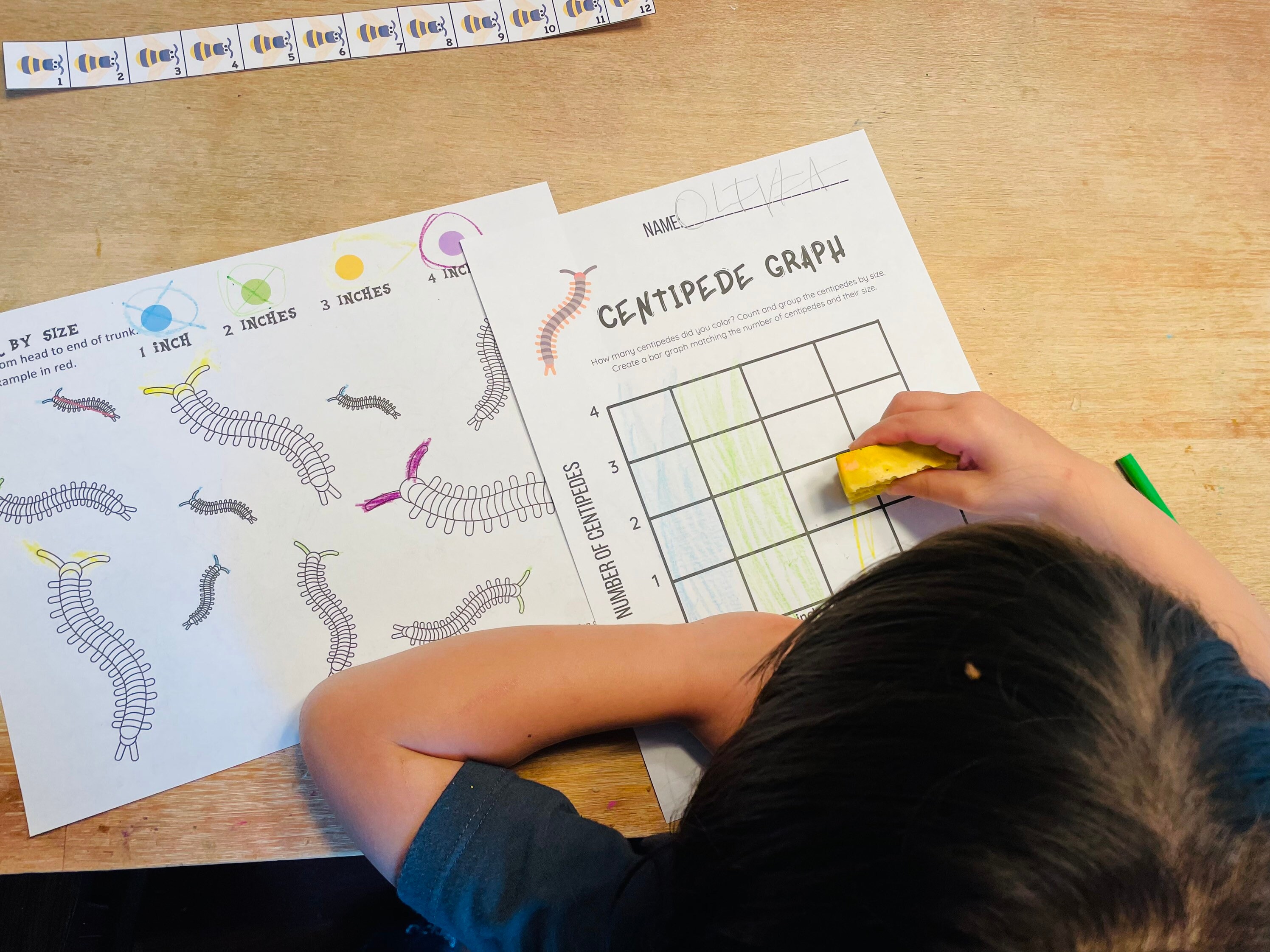 Measuring Bugs Activity Insect Measuring Activity Bugs - Etsy