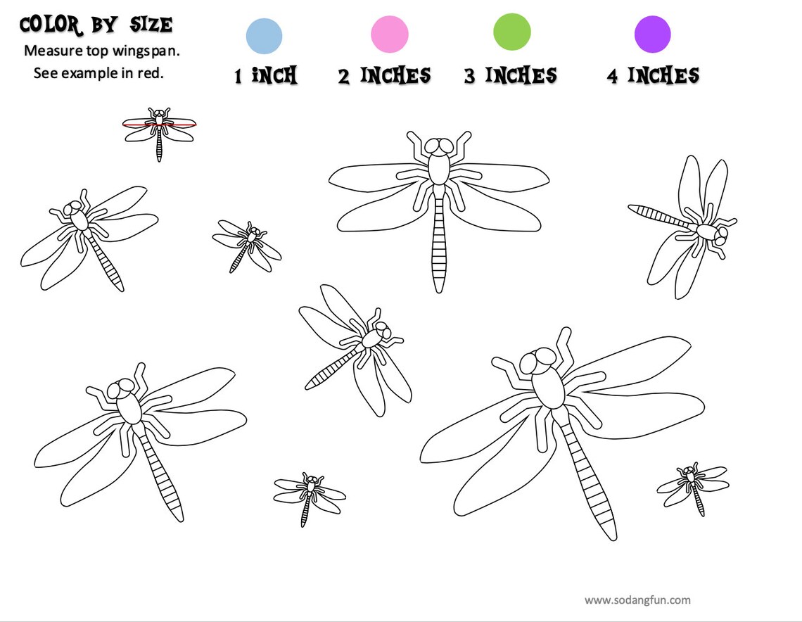 Measuring Bugs Activity Insect Measuring Activity Bugs | Etsy