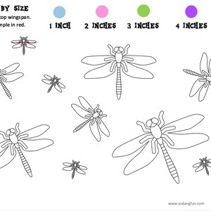 Measuring Bugs Activity Insect Measuring Activity Bugs | Etsy
