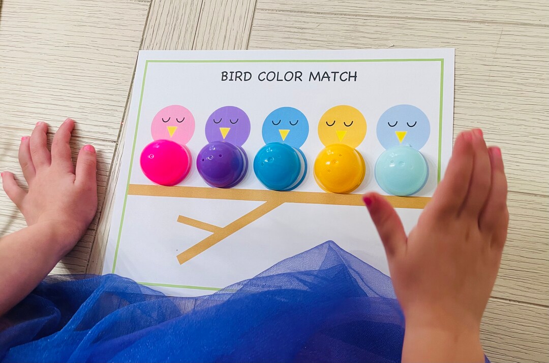 Spring Color Matching Activities, Spring Busy Book, Spring Color Match ...