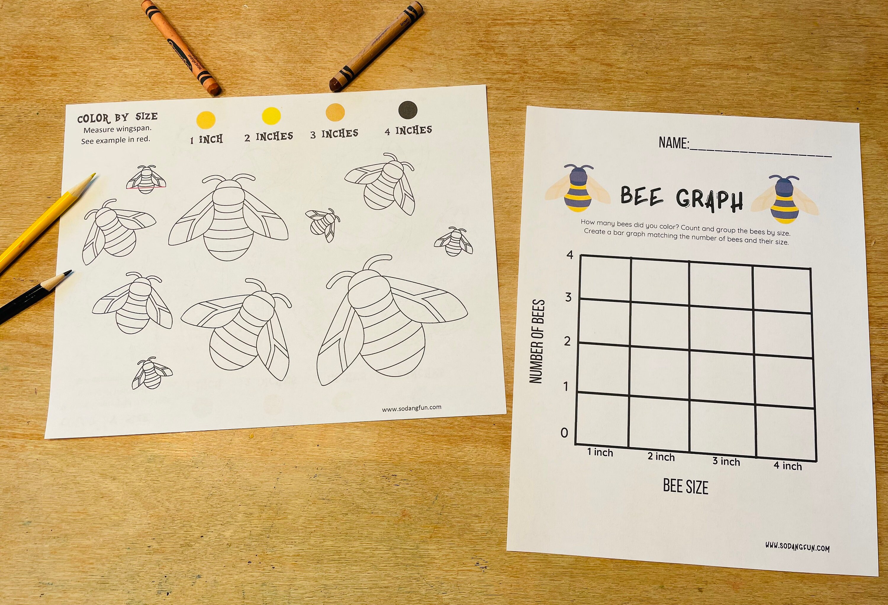 Measuring Bugs Activity Insect Measuring Activity Bugs - Etsy