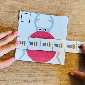 Measuring Bugs Activity Insect Measuring Activity Bugs | Etsy