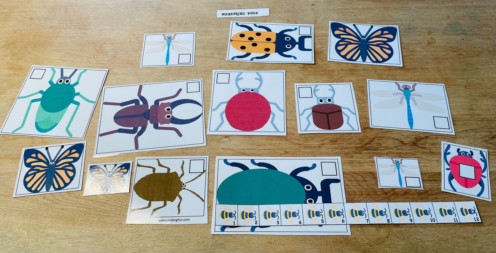 Measuring Bugs Activity Insect Measuring Activity Bugs - Etsy