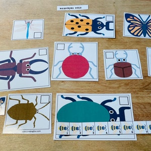 Measuring Bugs Activity, Insect Measuring Activity, Bugs Coloring Pages ...