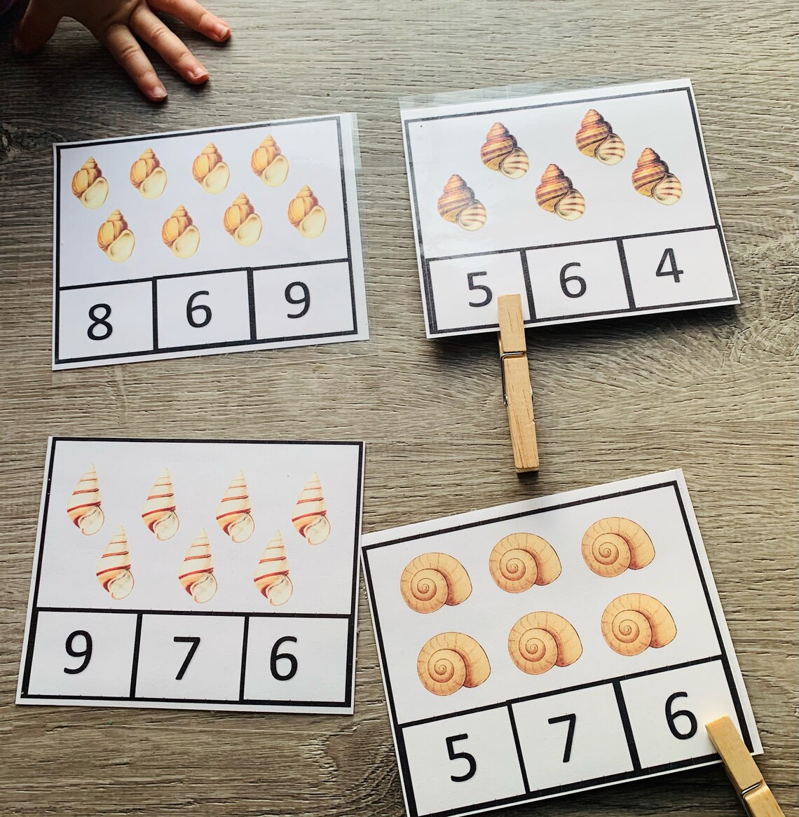 Counting Shells Clip Cards 1-20 Toddler Preschool - Etsy