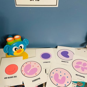 Doctor Dramatic Play Printables, Pretend Play Doctor Clinic With ...