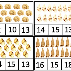 Counting Shells Clip Cards 1-20, Toddler Preschool Kindergarten Math ...