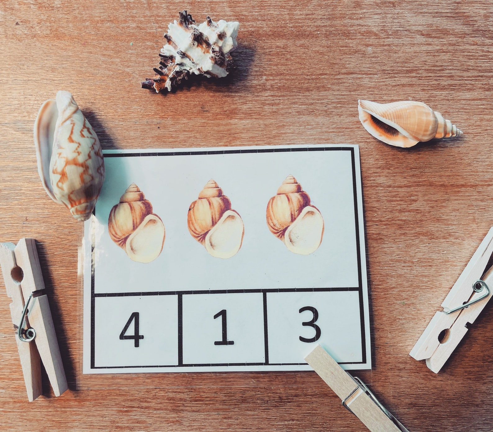 Counting Shells Clip Cards 1-20 Toddler Preschool | Etsy