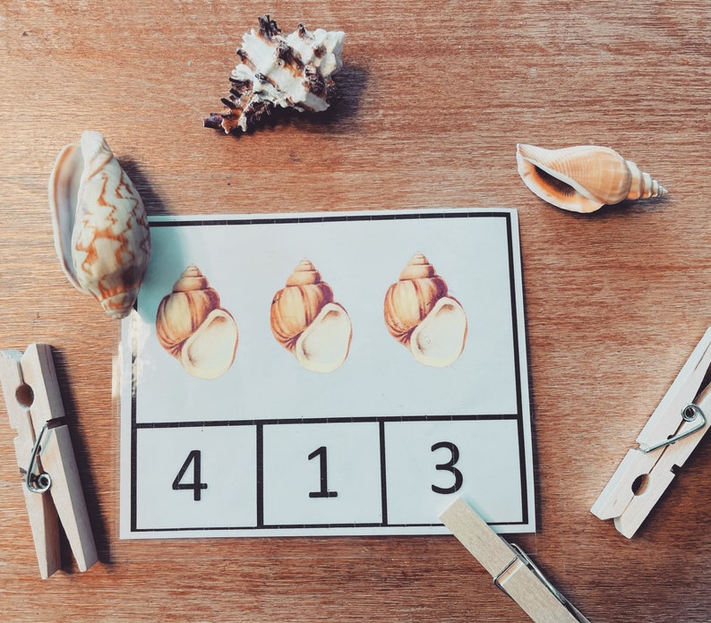 Counting Shells Clip Cards 1-20 Toddler Preschool - Etsy