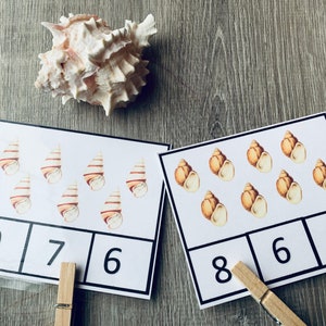 Counting Shells Clip Cards 1-20, Toddler Preschool Kindergarten Math ...