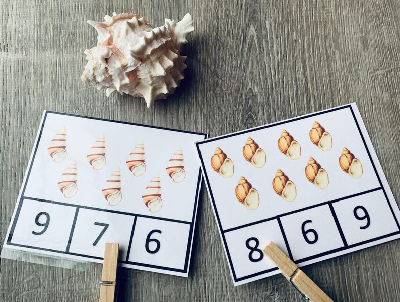 Counting Shells Clip Cards 1-20 Toddler Preschool - Etsy