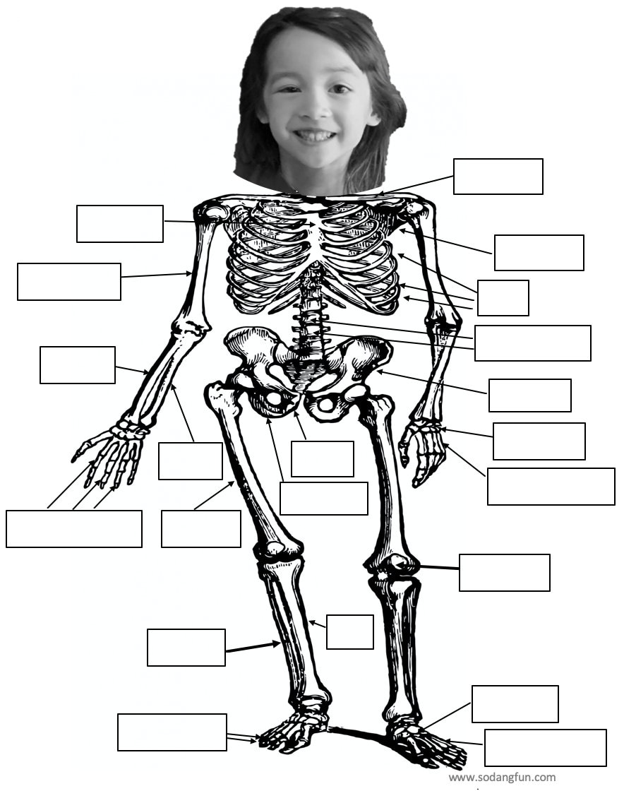 Menselijk Skelet Kleurplaat Kleurplaat Voor Kinderen Met Schattig