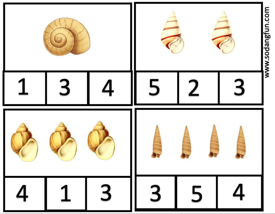Counting Shells Clip Cards 1-20 Toddler Preschool - Etsy