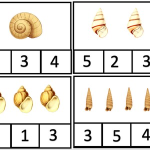 Counting Shells Clip Cards 1-20, Toddler Preschool Kindergarten Math ...