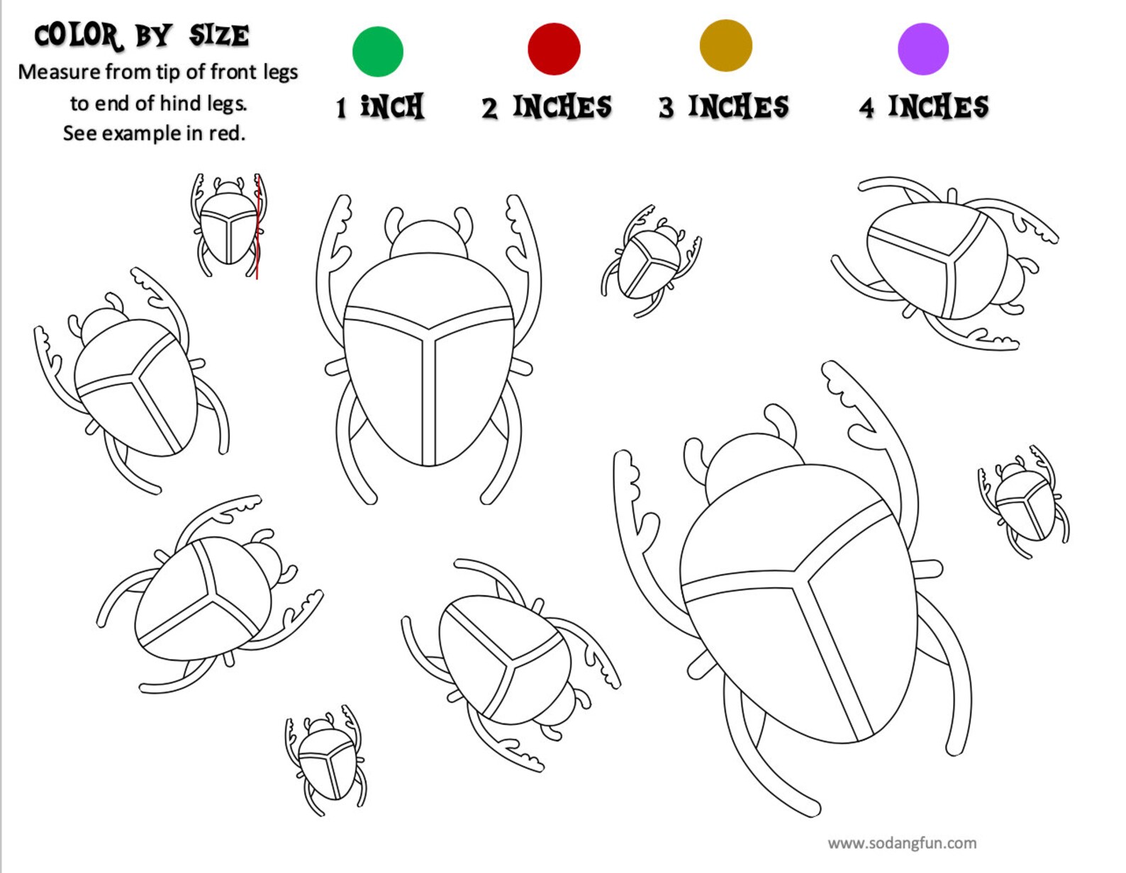 Measuring Bugs Activity Insect Measuring Activity Bugs | Etsy
