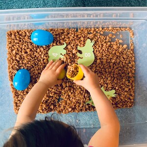 Number Sense Bundle, 10 Frames, Tally Marks, Dinosaur Counting Mats ...