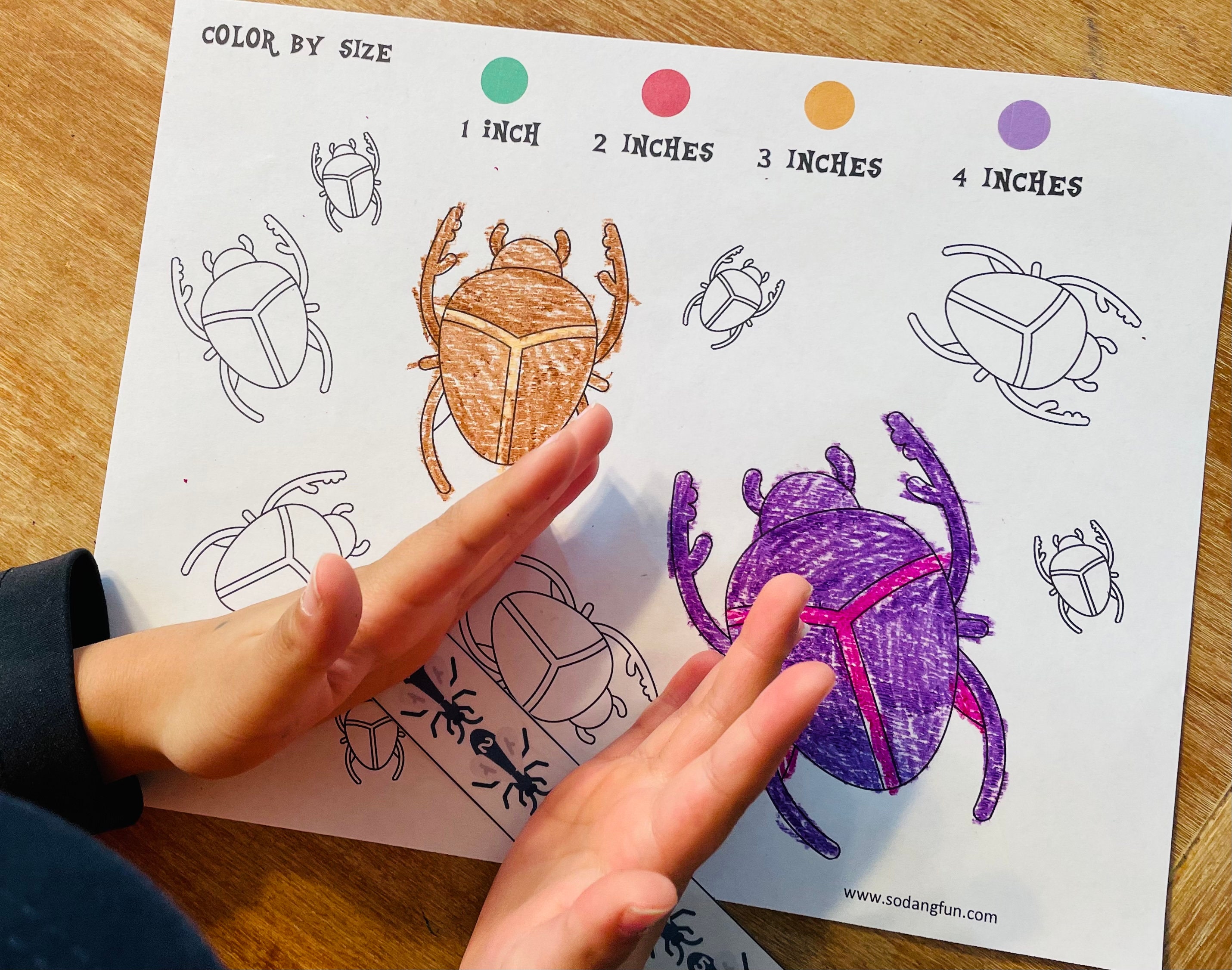 Measuring Bugs Activity Insect Measuring Activity Bugs - Etsy