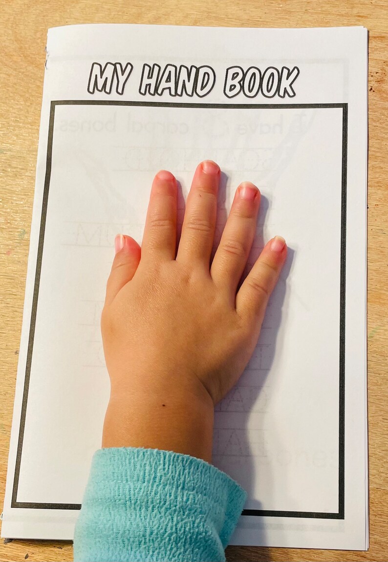 Anatomy hand Book for Kids to Color Trace and - Etsy