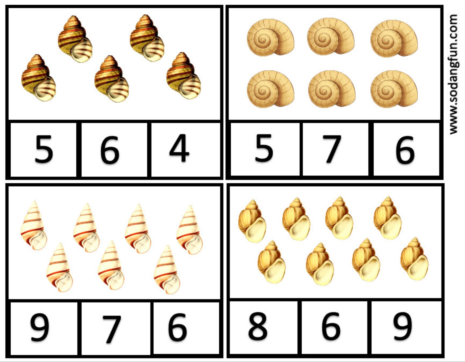 Counting Shells Clip Cards 1-20 Toddler Preschool - Etsy