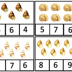 Counting Shells Clip Cards 1-20, Toddler Preschool Kindergarten Math ...