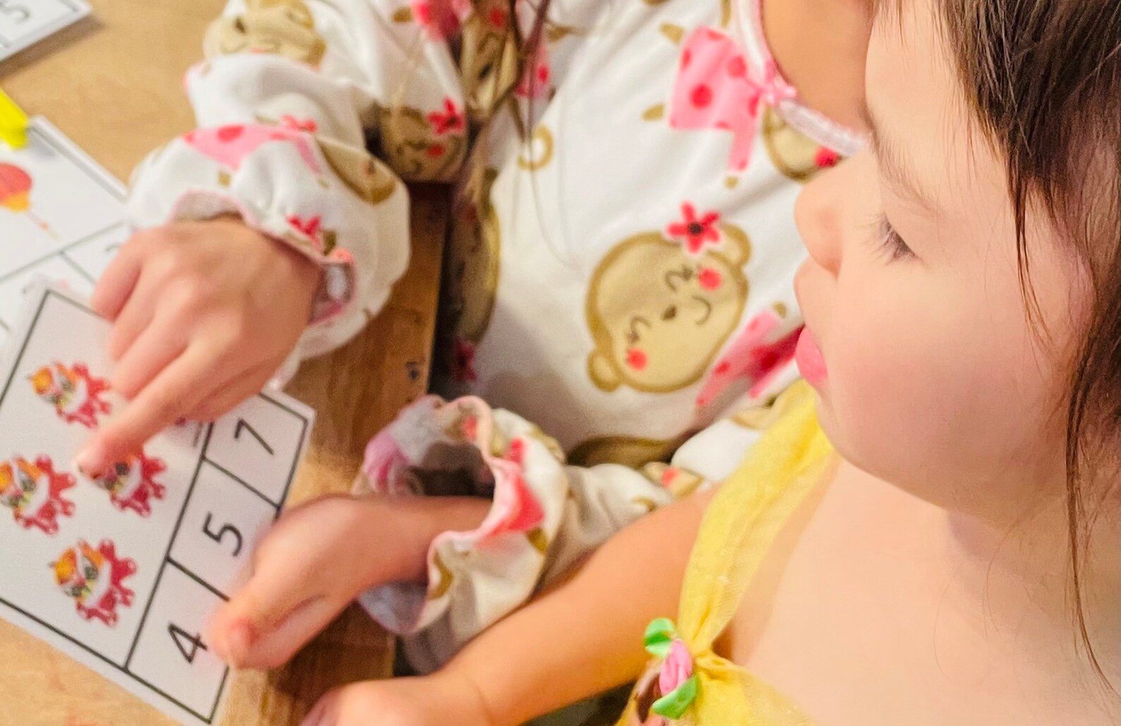 Lunar New Year I Spy and Count and Clip Cards 1-20 Year of - Etsy