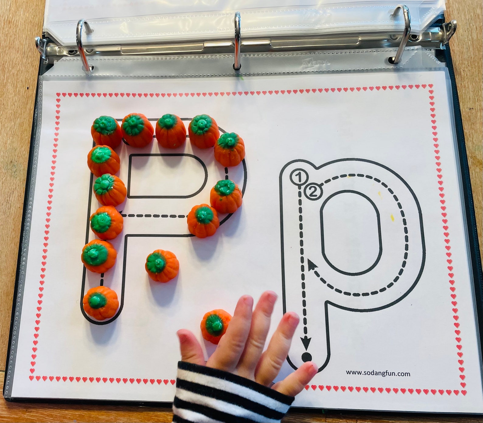 Letter Formation Workbook, Learn How to Write Uppercase and Lowercase ...